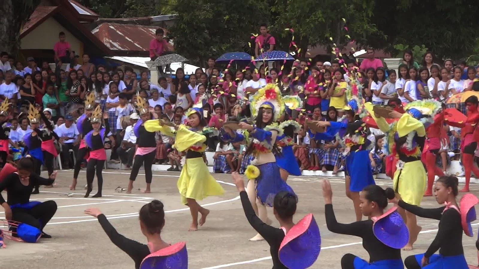 Under A Million Miles Of Sky: The Kinis Festival