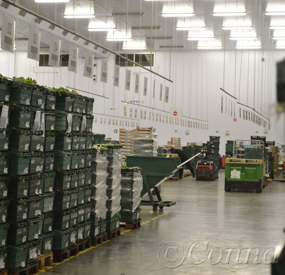 Sabor: Εγκαταστάσεις ΑΒ / AB warehouse