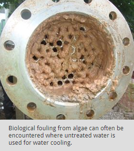 Understanding the different types of fouling