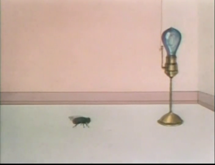 Supervised By Fred Avery: Tex Avery's Warner Brothers Cartoons: The Bug ...