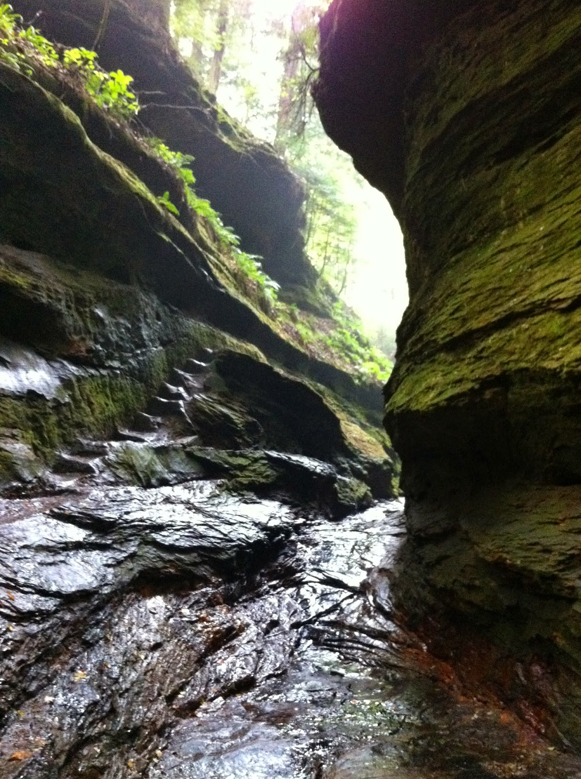 TURKEY RUN & GORGE FALLS INDIANA - ADAM HAYDOCK