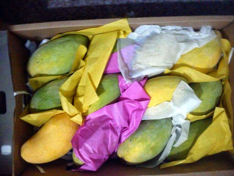 Fresh fruit of Pakistan