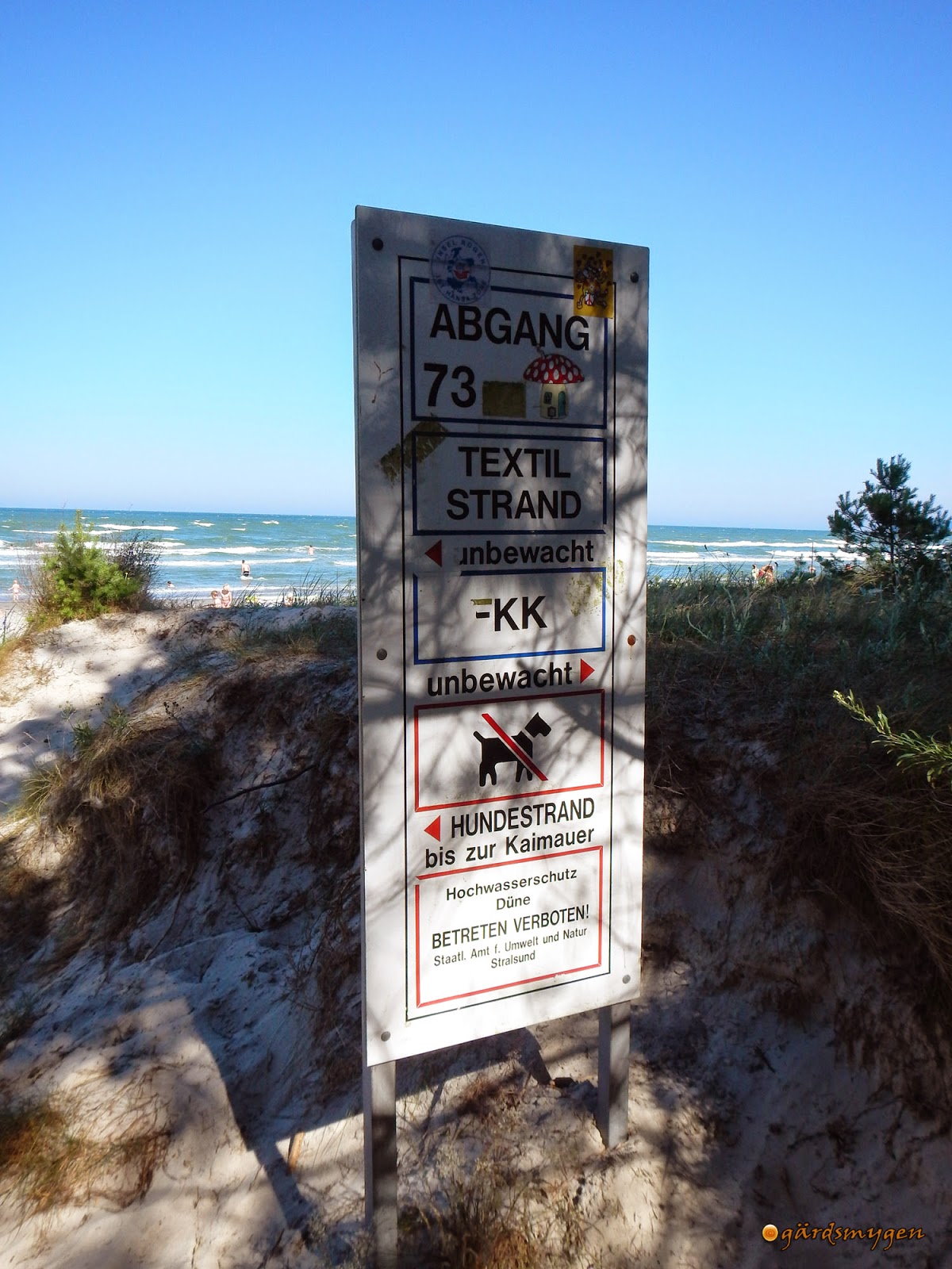 Gärdsmygen: Läs och begrunda