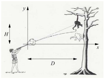 Projectile motion 'monkey hunting' simulation - Juany's Science Blog