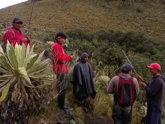 ECUADOR, un hermoso país Andino: - El Páramo andino