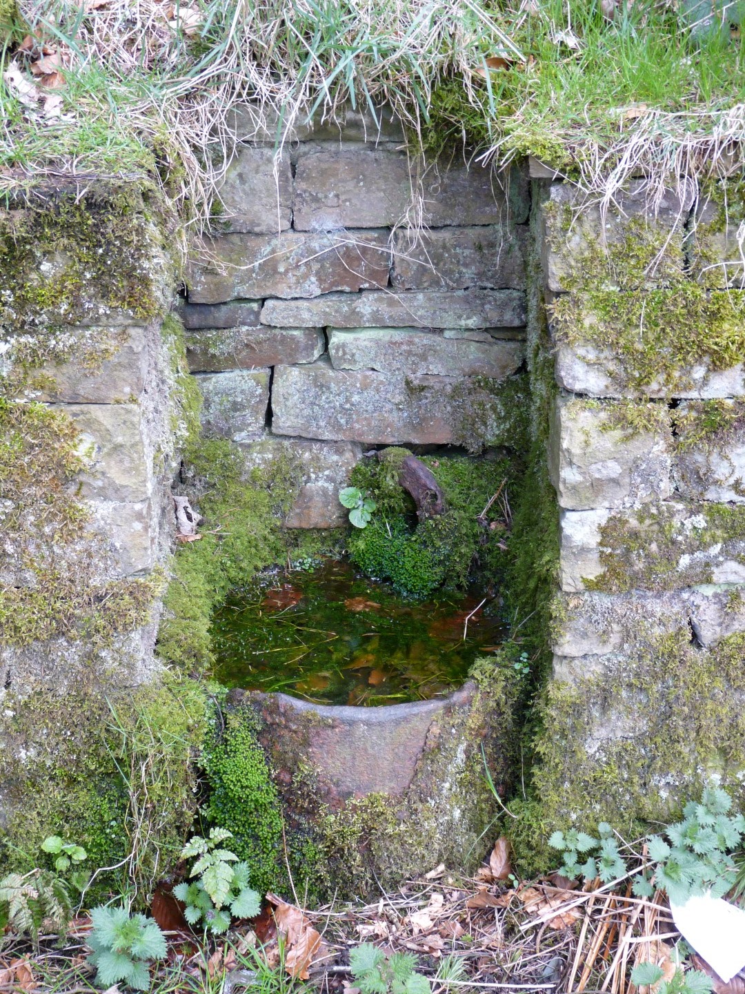 Haslingden Old and New...: Historic Water Troughs, Spring Fed Wells and ...