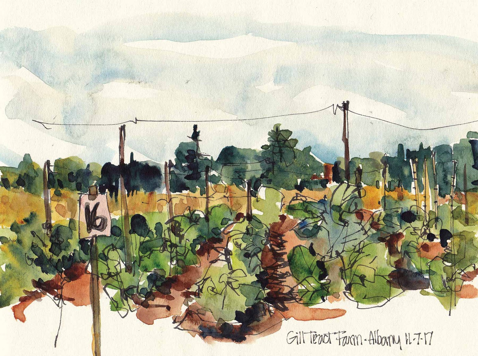 Urban Sketchers S.F. Bay Area: Urban Sketching at an Urban Farm