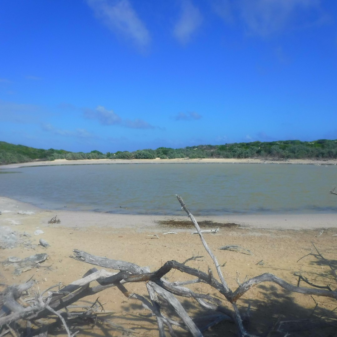 McCraw Sails: Great Inagua, Bahamas