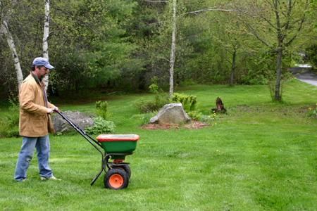How to Reseed Your Lawn - Best Manual Lawn Aerator
