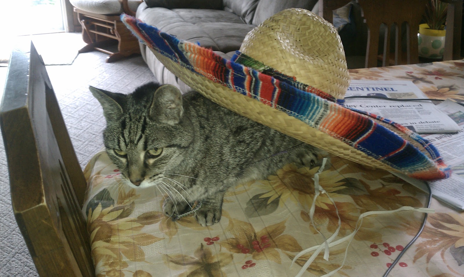 Pookon's Ill Blog: Coach Gordon Bombay