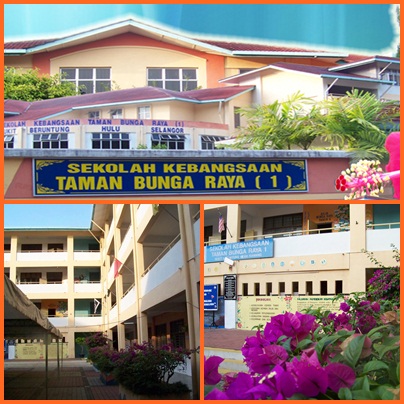 Sekolah Kebangsaan Taman Bunga Raya (1): PANORAMA