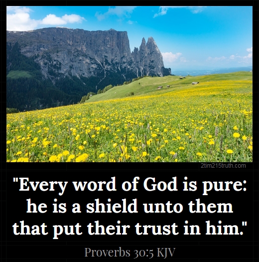 2 Timothy 2:15 Truth: Verse of the Day: Proverbs 30:5 KJV