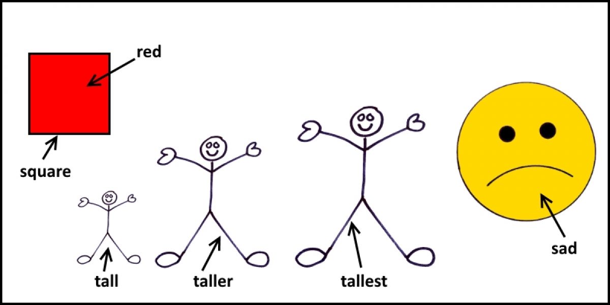 Adjective: Definition and Examples ~ Educational Tips