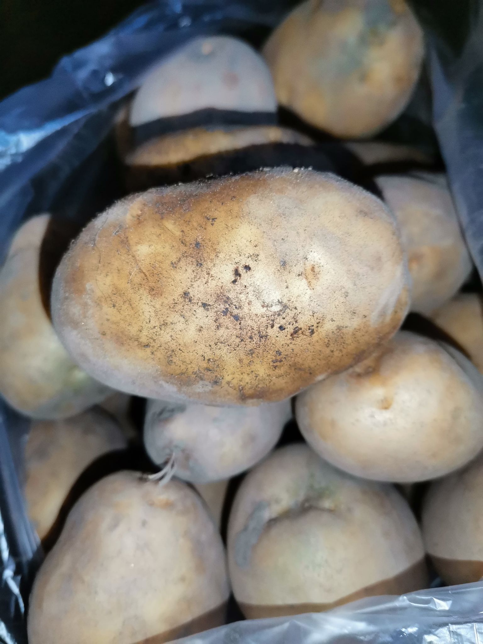 Plasterki ziemniaczane.