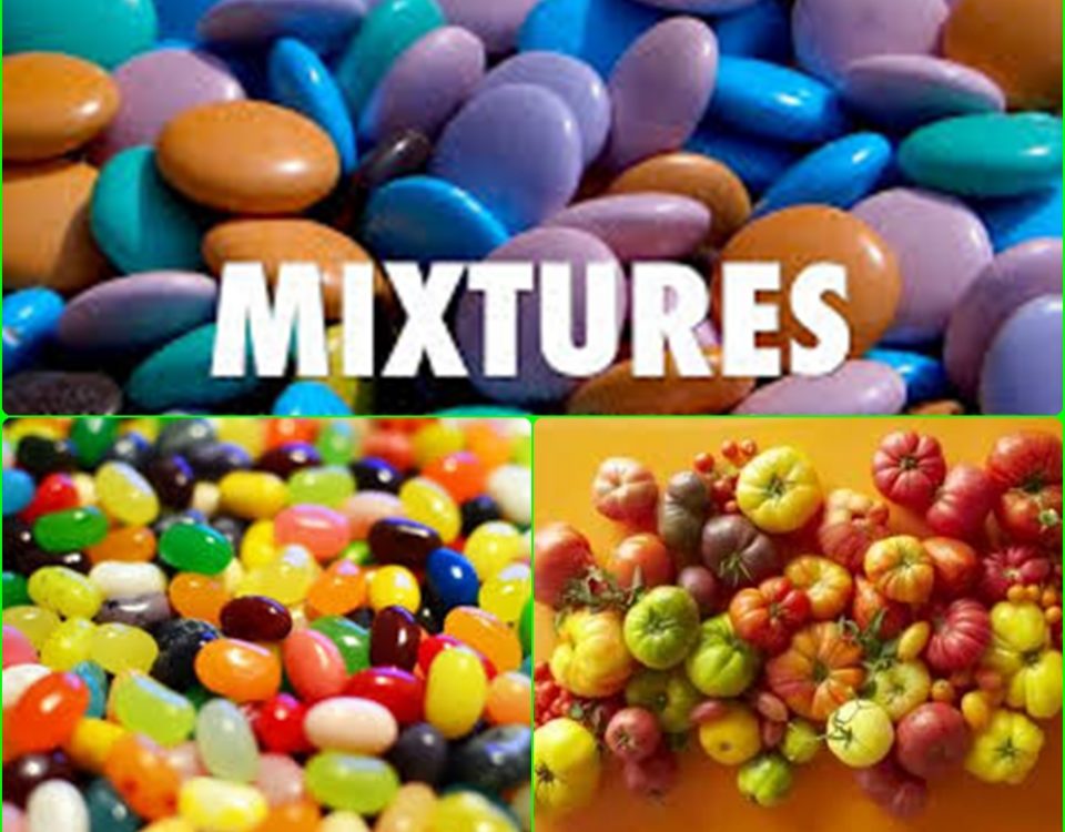 Natural Science Portfolio- Day 2