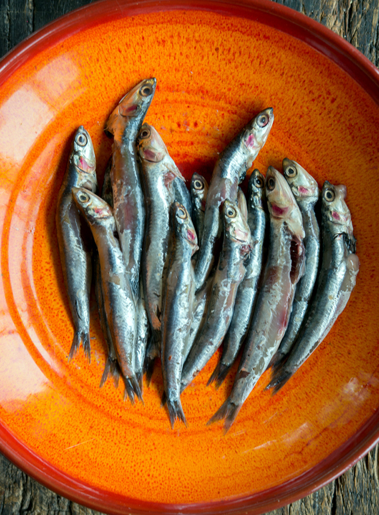 Wild Greens and Sardines : House-Cured Anchovies (aka Boquerones)