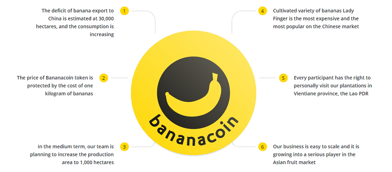 BananaCoin Offering Decentralized Platform for Banana Production ...