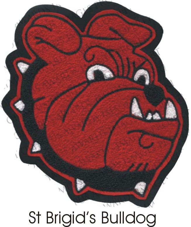 Guest Post for St Brigid's Feastday Feb 1 - Equipping Catholic Families