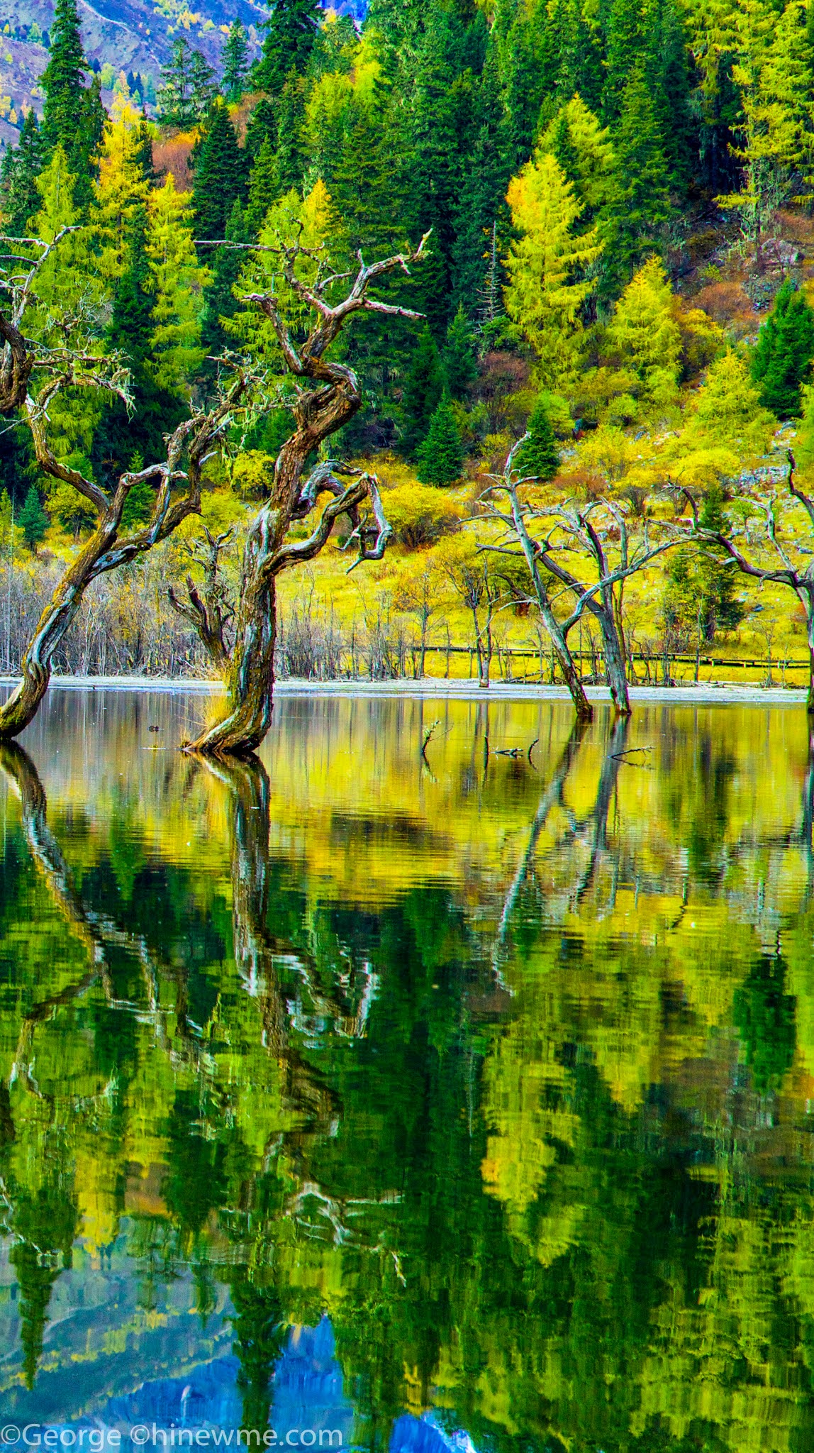 40+Travel landscape photography, 19photograph skill - HiArt