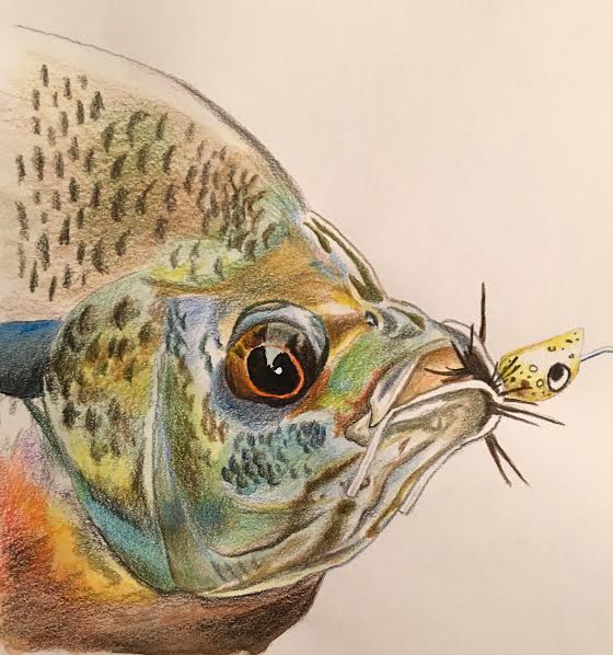 The Fiberglass Manifesto: Phischfud Art & Design - The Bluegill