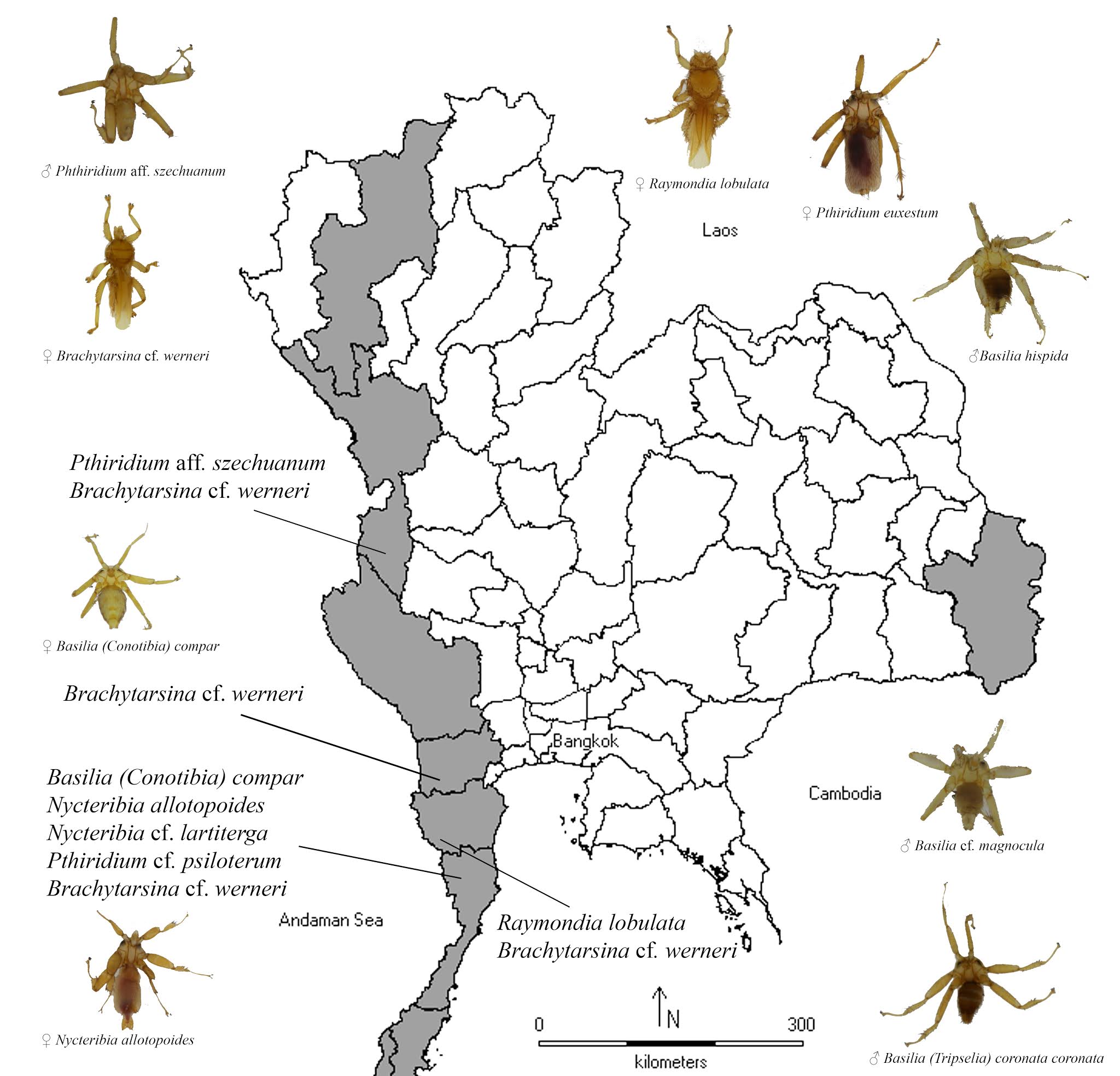 Species New to Science: [Entomology • 2021] A Checklist of Bat Flies ...