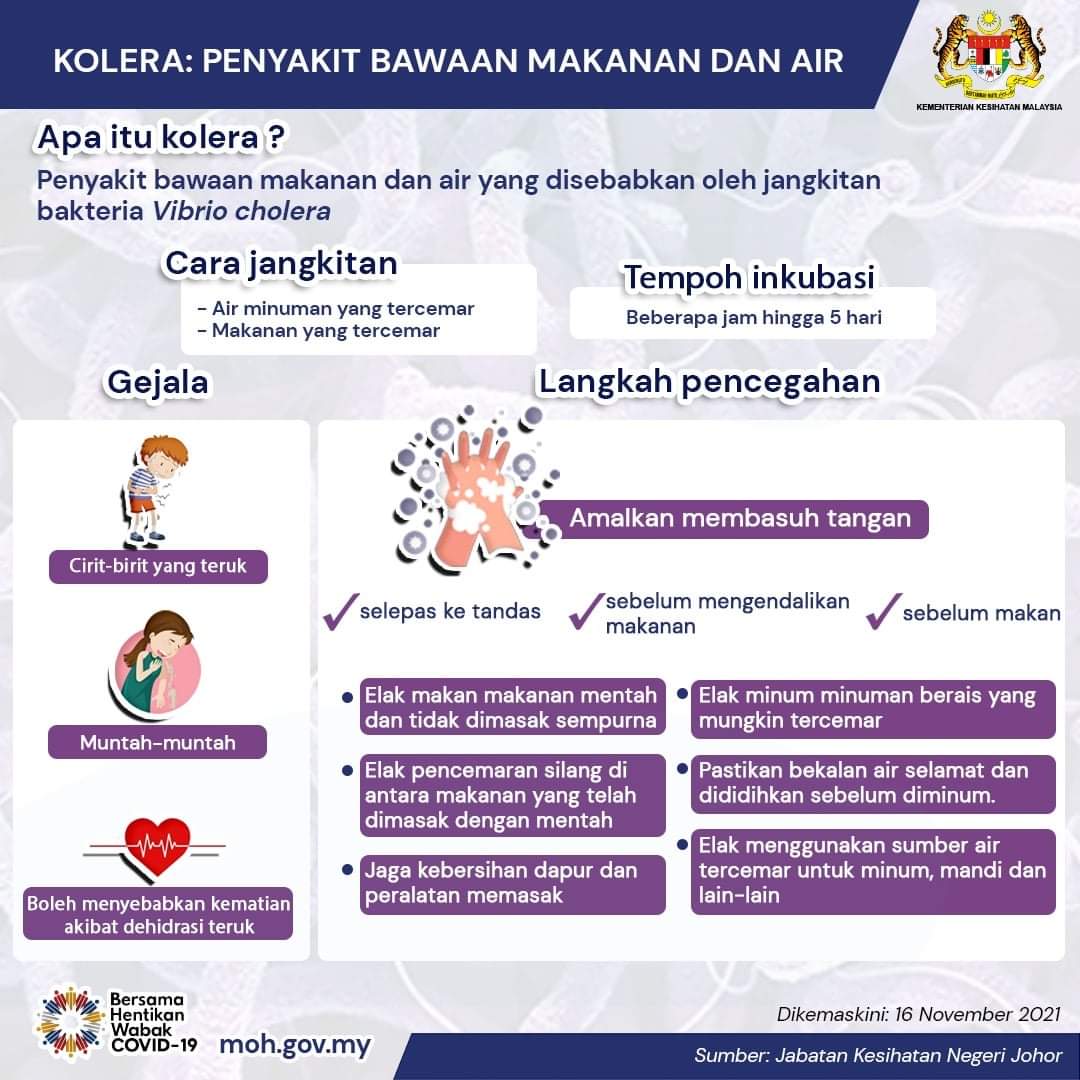 Awas Penyakit Kolera atau Taun!