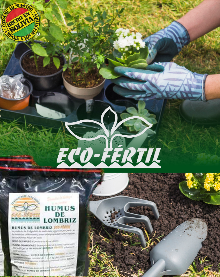 Que es el Humus, y para que sirve?