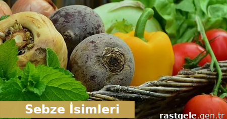 Rastgele Sebze İsimleri | Rastgele.gen.tr