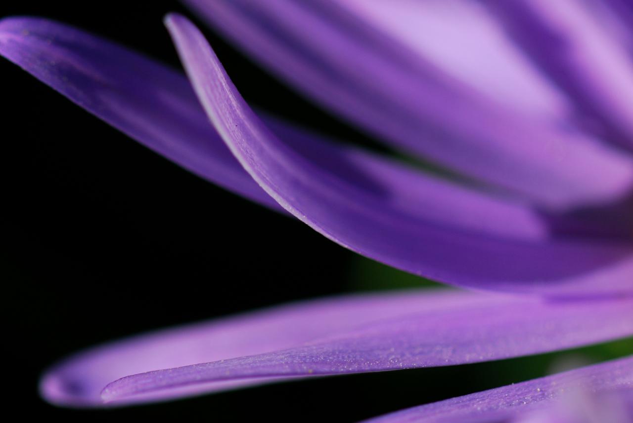 De milagro andamos: Morada