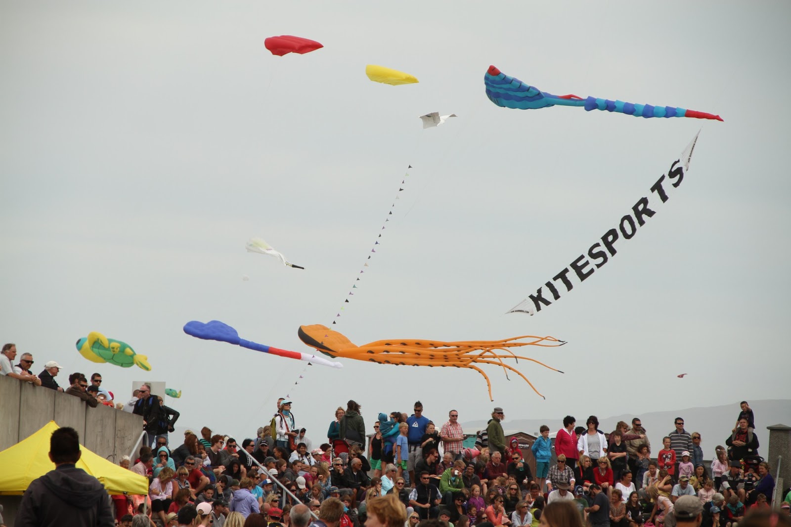 Aligorith's Lair: Kite Day 2014