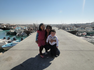 TURKNOY: Exploring Al Ruwais: Port Border and Village