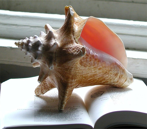 Wisps and Whirlwinds: Life Lessons from the Sea #13: The Music of Memory