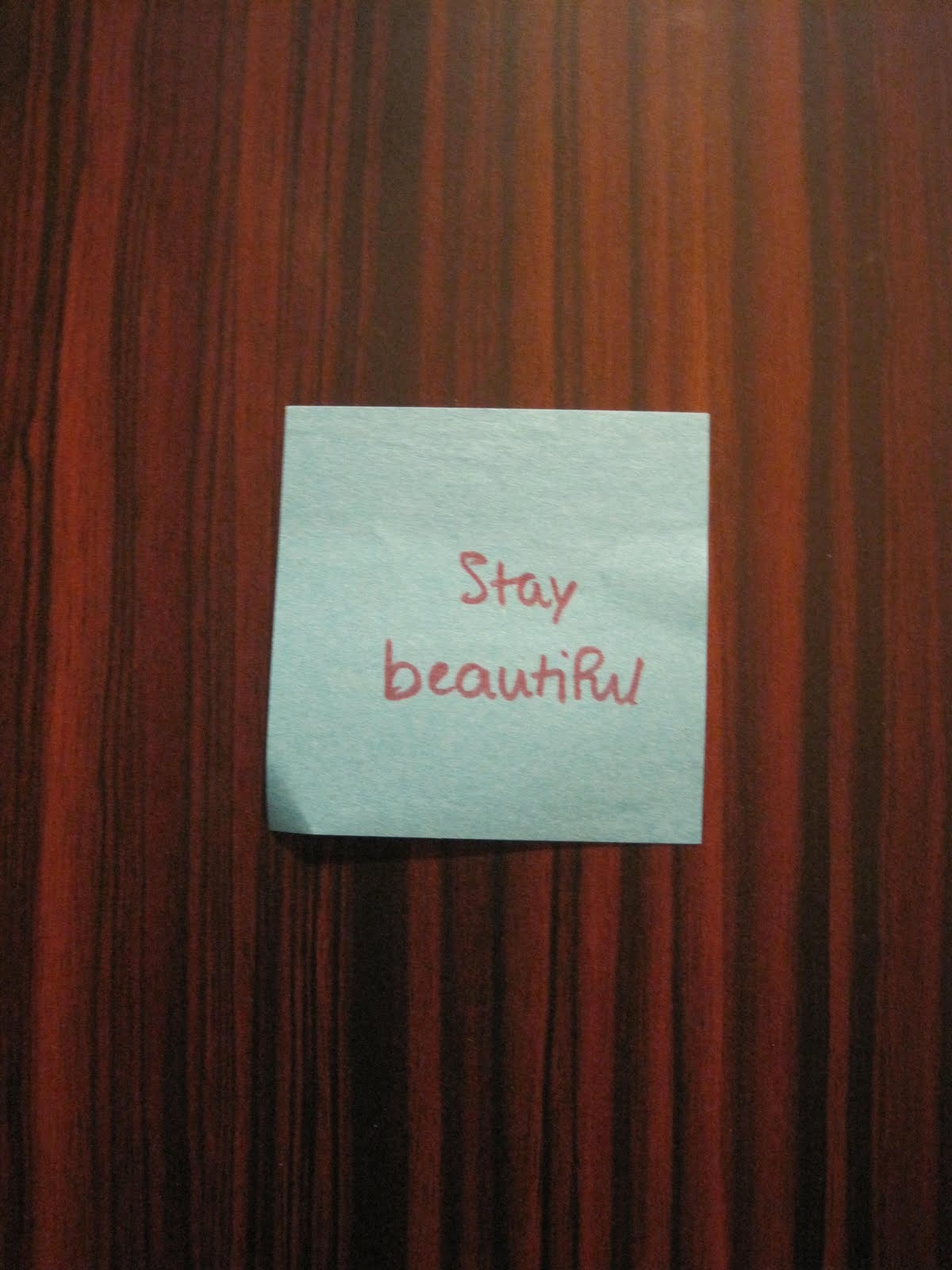 The Sunshine Movement