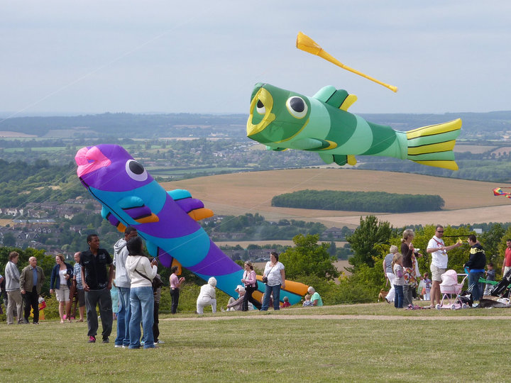 About Dunstable : Dunstable Kite Festival takes place on Dunstable ...