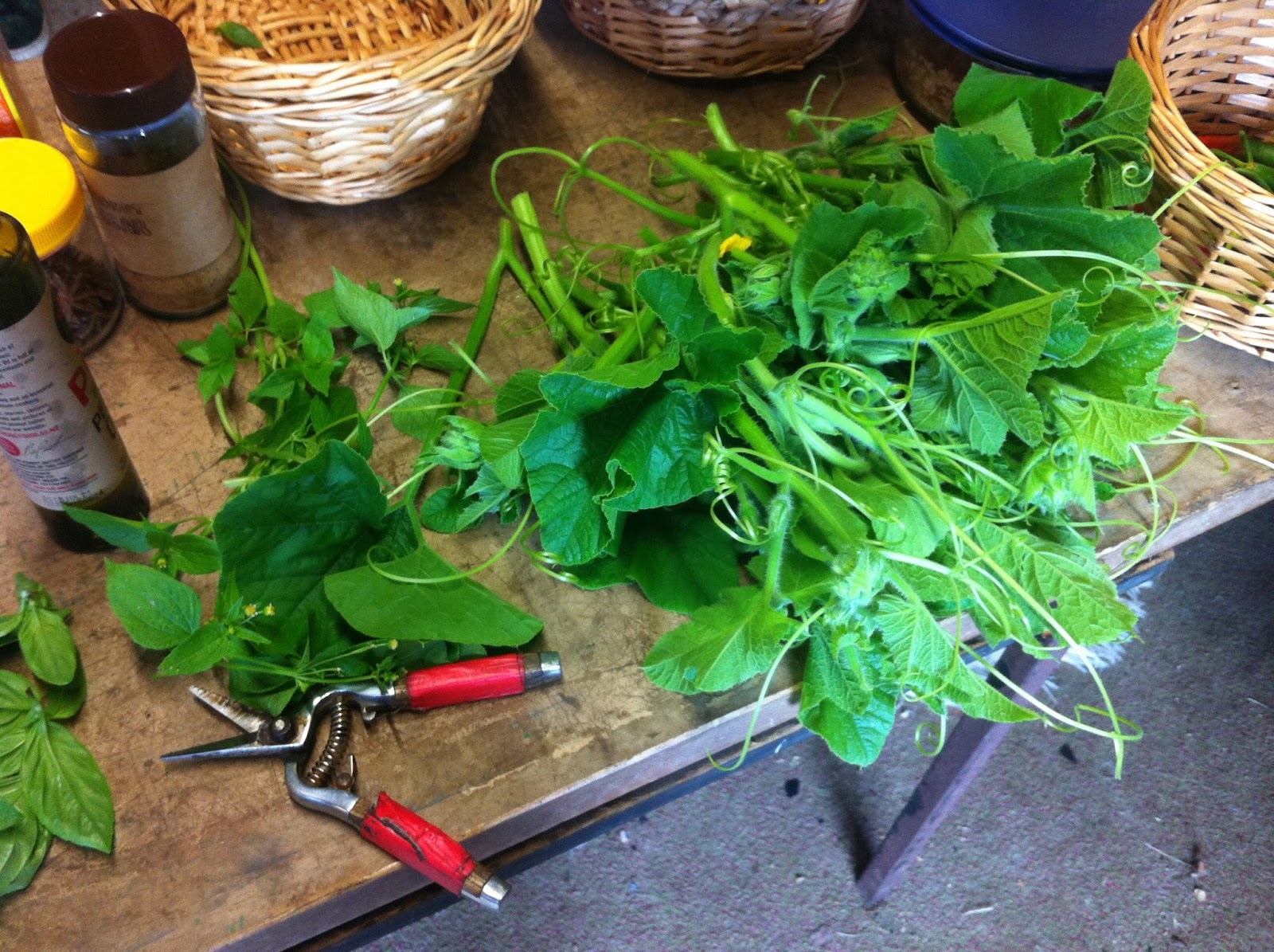 Sanctuary Garden Diary: Aaron's cooking class