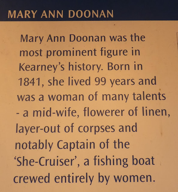 Birding For Pleasure: Kearney and Ballyquintin Farm Discovered.
