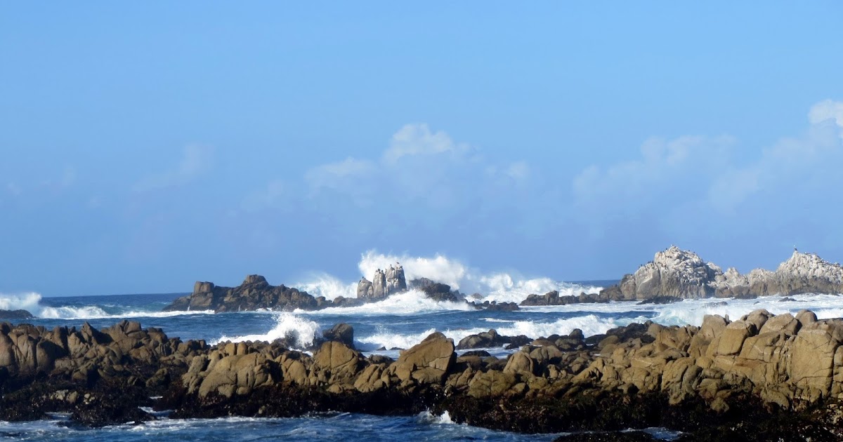 Natural History Journal: California's Ecosystems