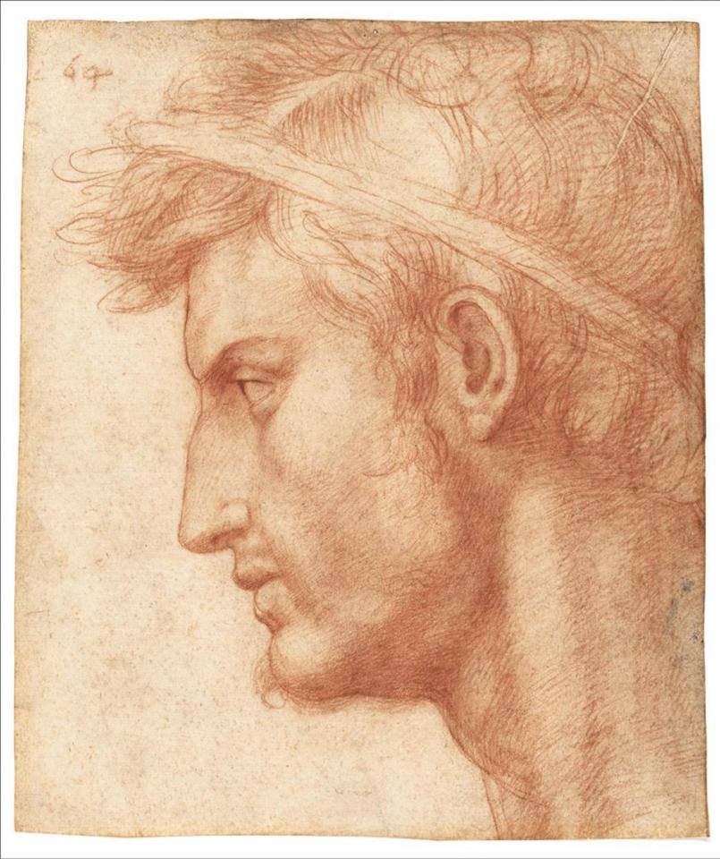 Andrea del Sarto (1486-1530)