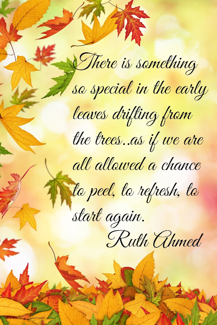 IT'S ALMOST FALL Y'ALL | Simple and Serene Living