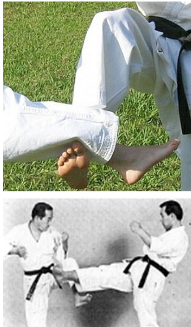 Karate Quick Guide Blogspot | New Delhi: Blocks