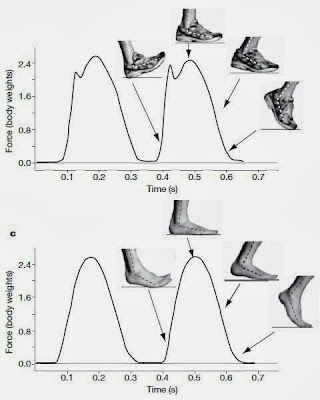 Rapid PT Program: Quick Running Tip: Use Minimalist Running Shoes