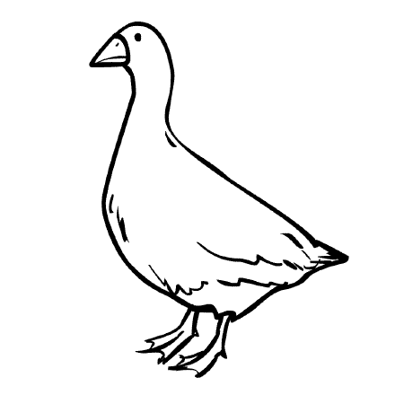 RECURSOS y ACTIVIDADES para Educación Infantil: Dibujos para colorear: OCA