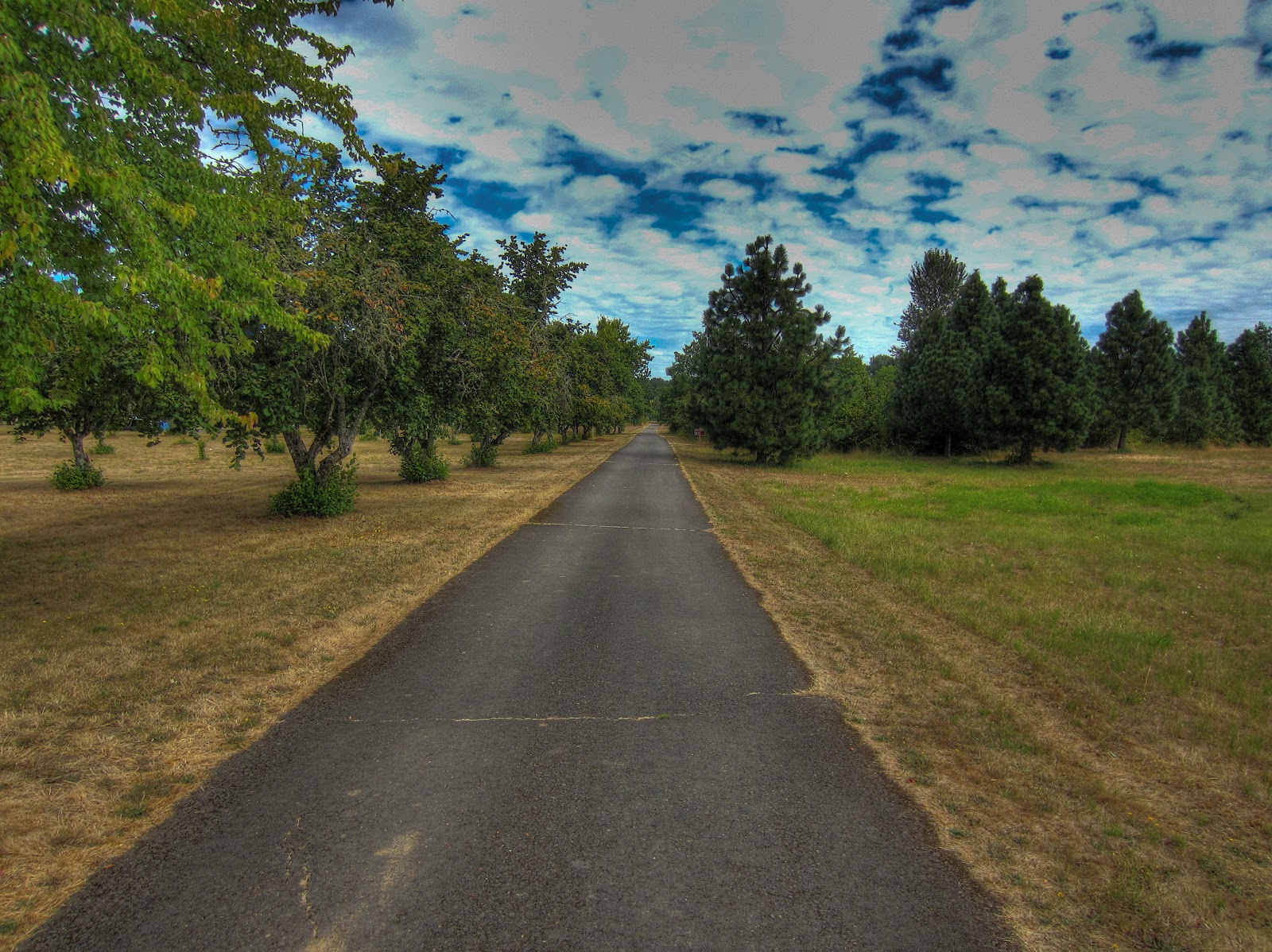 Thom Zehrfeld Photography : Willamette Mission State Park