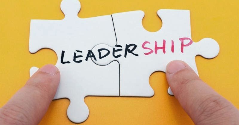 ibrSearch: Finding the Missing Piece to Your Leadership Puzzle