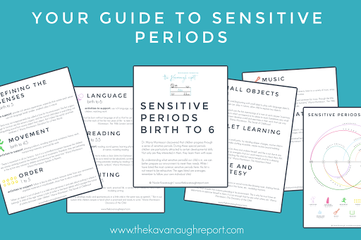 Sensitive Periods from Birth to 6 - A Chart and Guide