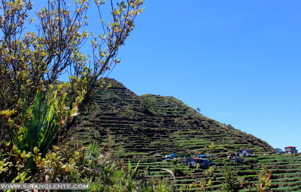 SIRANG LENTE: MT. TIMBAK, BENGUET: 2021 HIKING GUIDE + ITINERARY