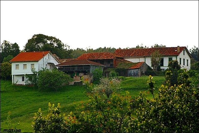 Mitología Asturiana: LA VARA DE HIERBA (EL BALAGAR)