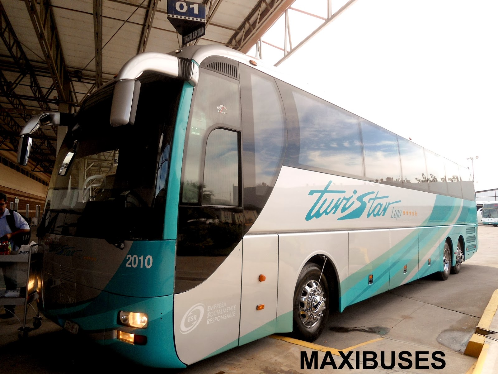 MAXIBUSES: TURISTAR LUJO