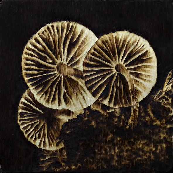 Richy Pyrography: Mushroom Coaster 03