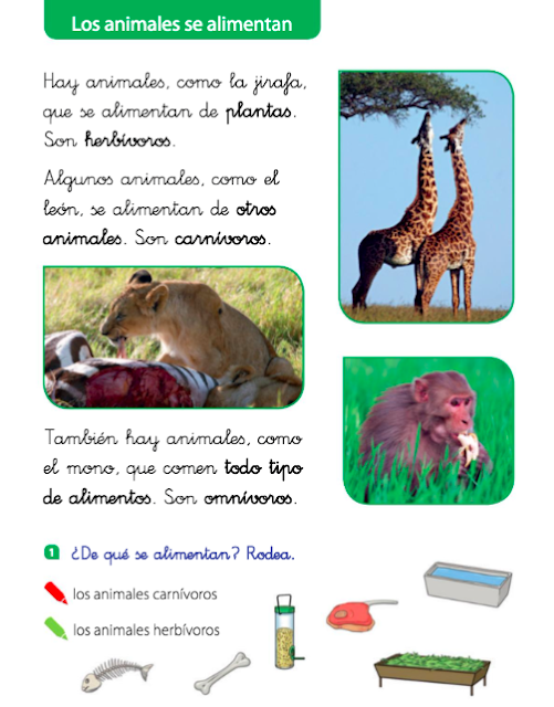 Mi blog de primero . CEIP Pinar Hondo: CIENCIAS: LOS ANIMALES